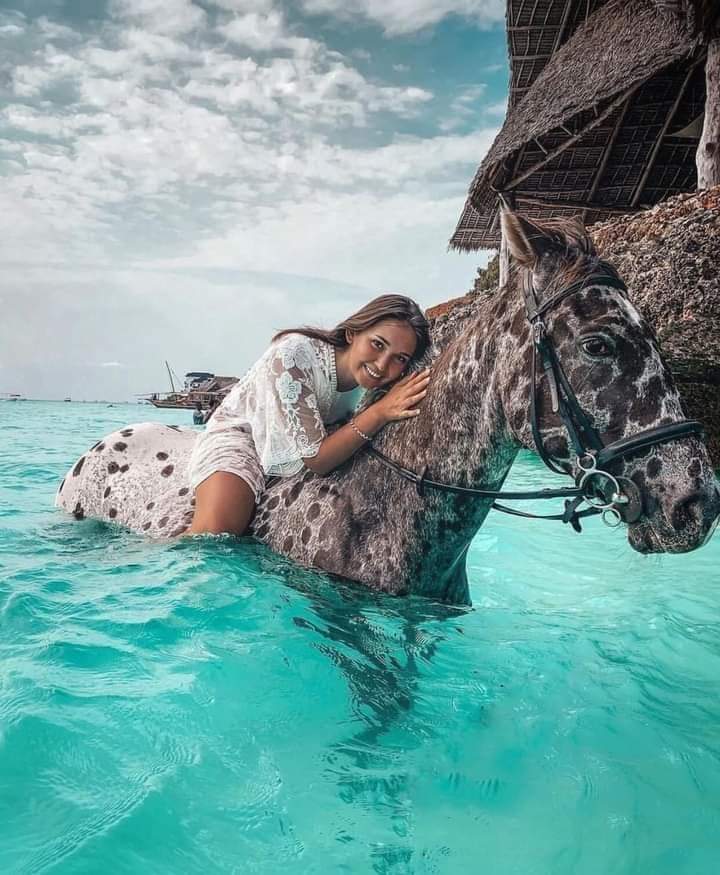 Nungwi Zanzibar Tour And Safar